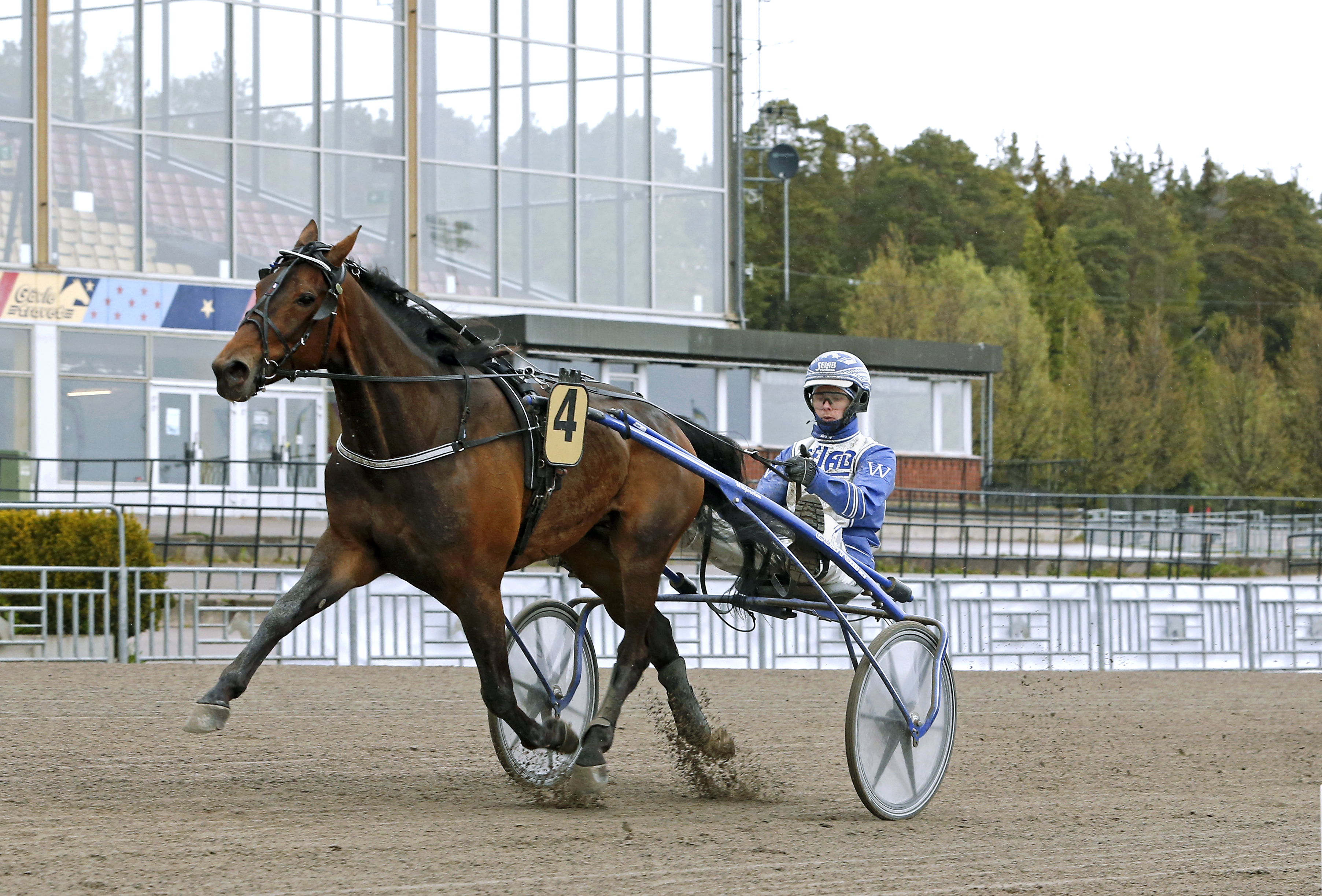 Två V75-segrar till Bergsåker